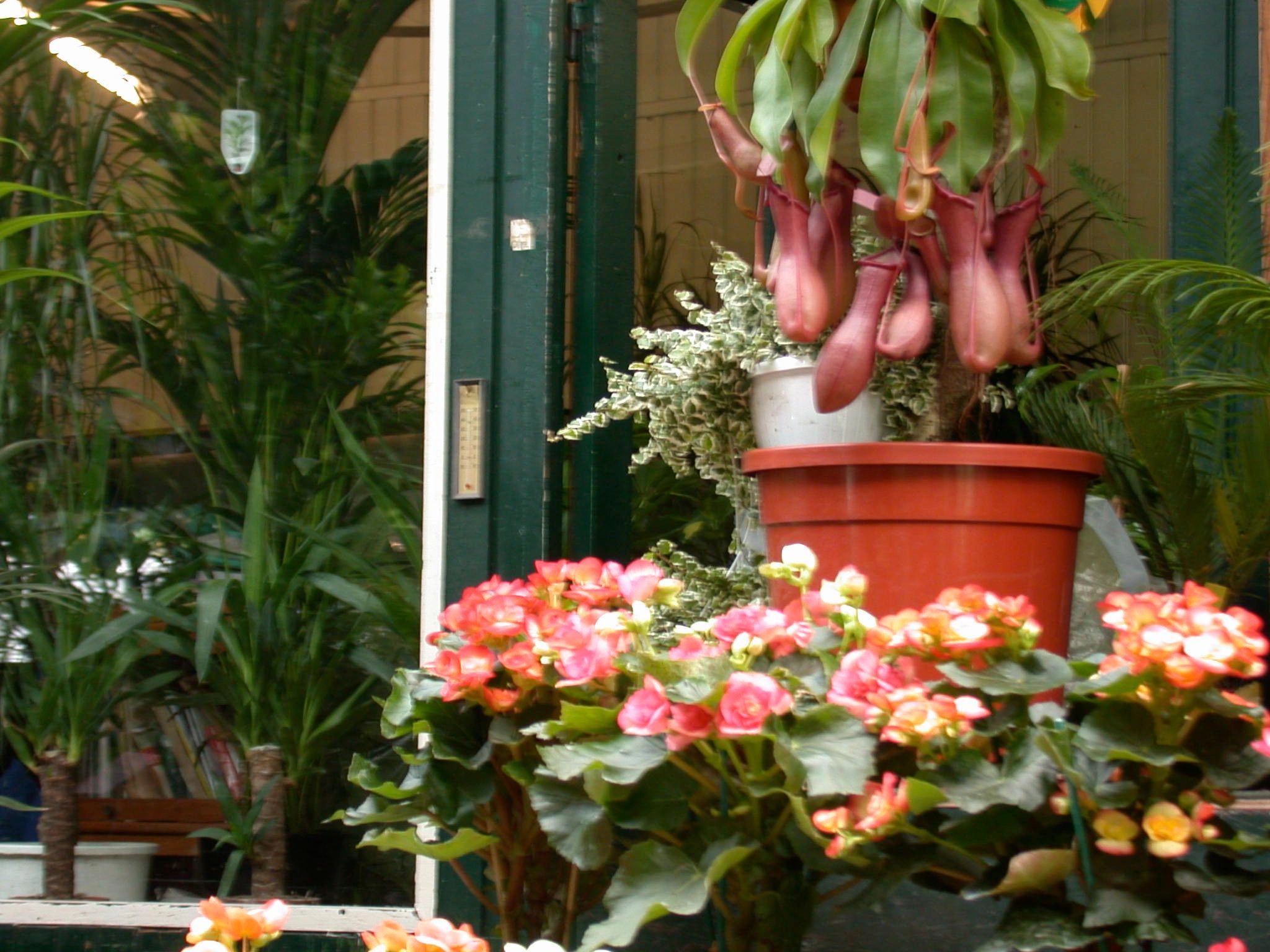 Katherine Grace Endicott