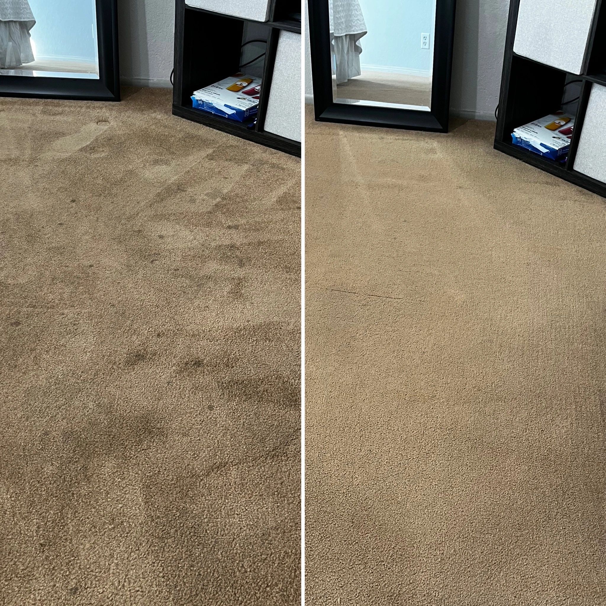 Absolutely Spotless Carpet Cleaning