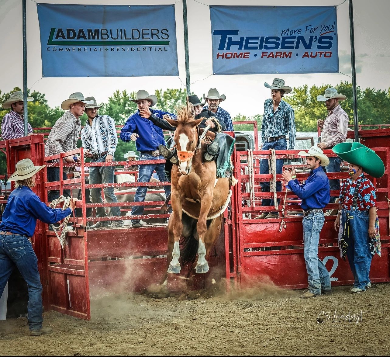 WILDHORSE PRODUCTIONS LLC