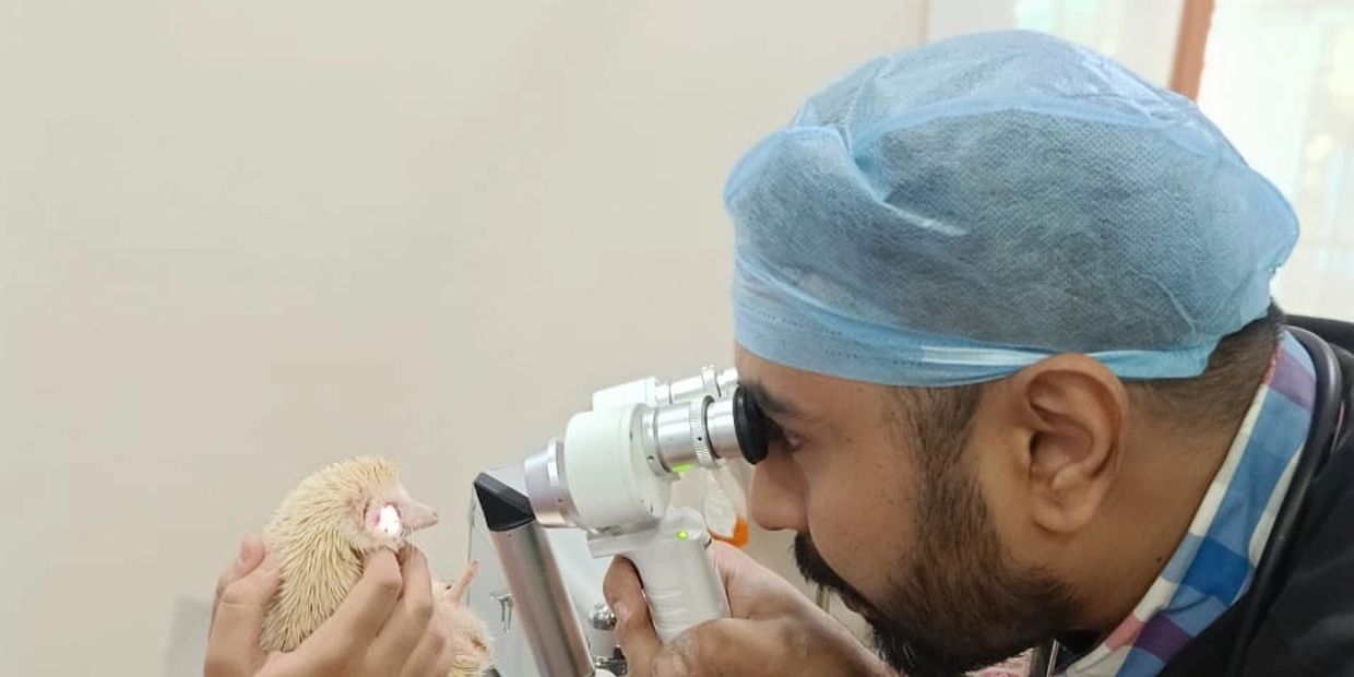 About US | RMV Multi-Speciality Veterinary Clinic