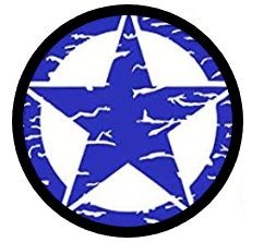 Starr Security Group Inc
