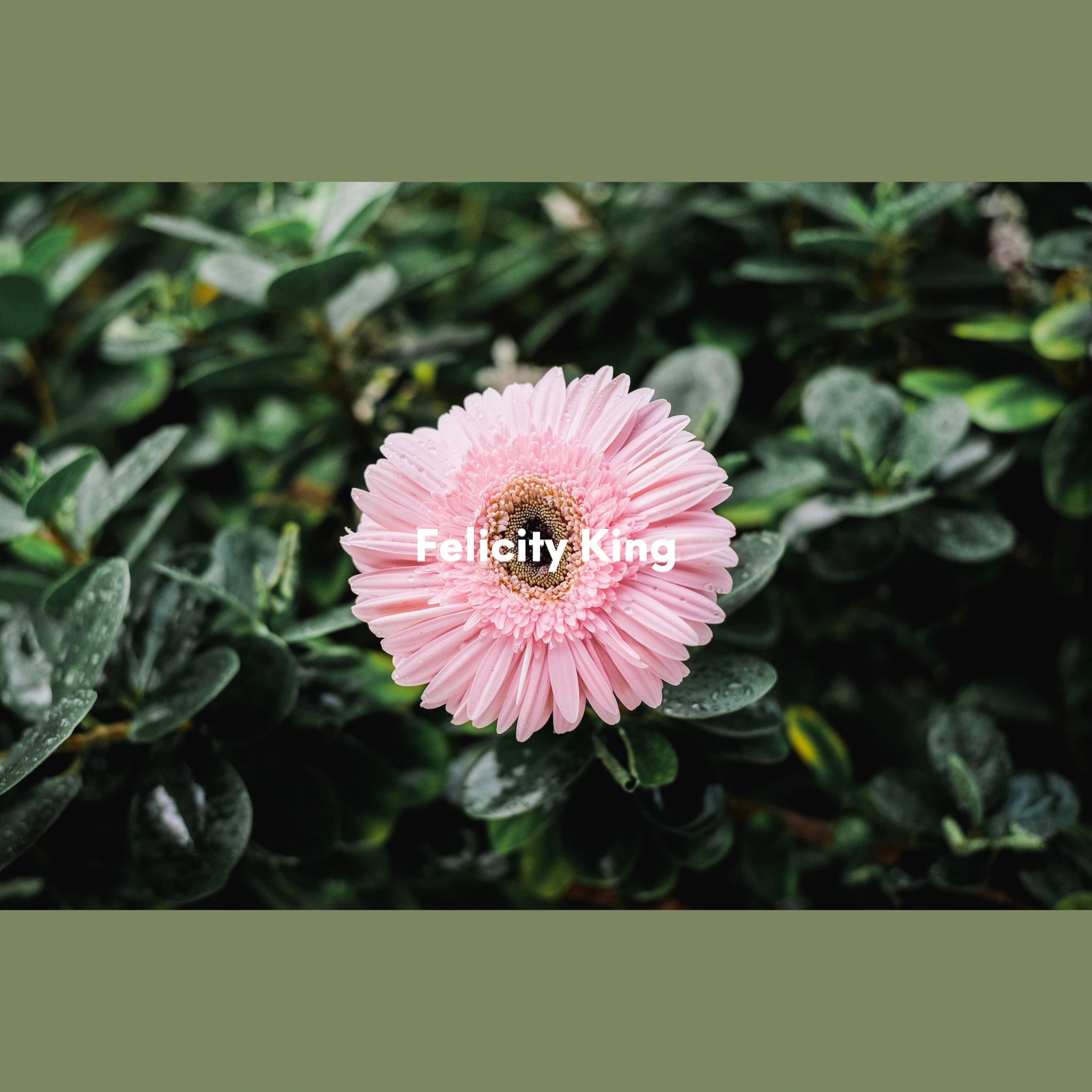 Dominatrix |Goddess Felicity King