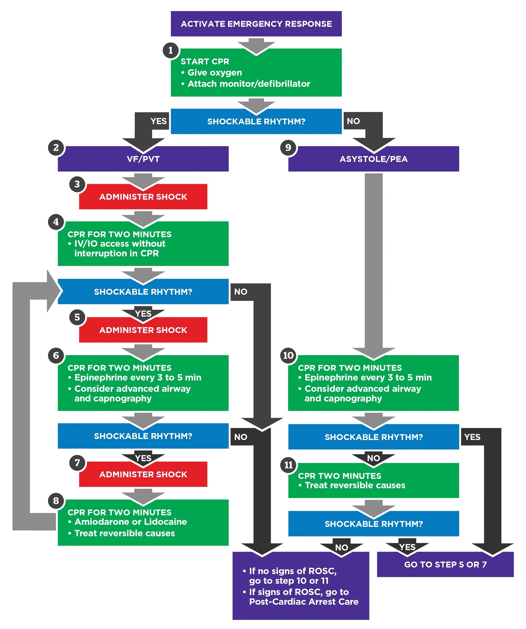 Cardiac Arrest Algo rhythm