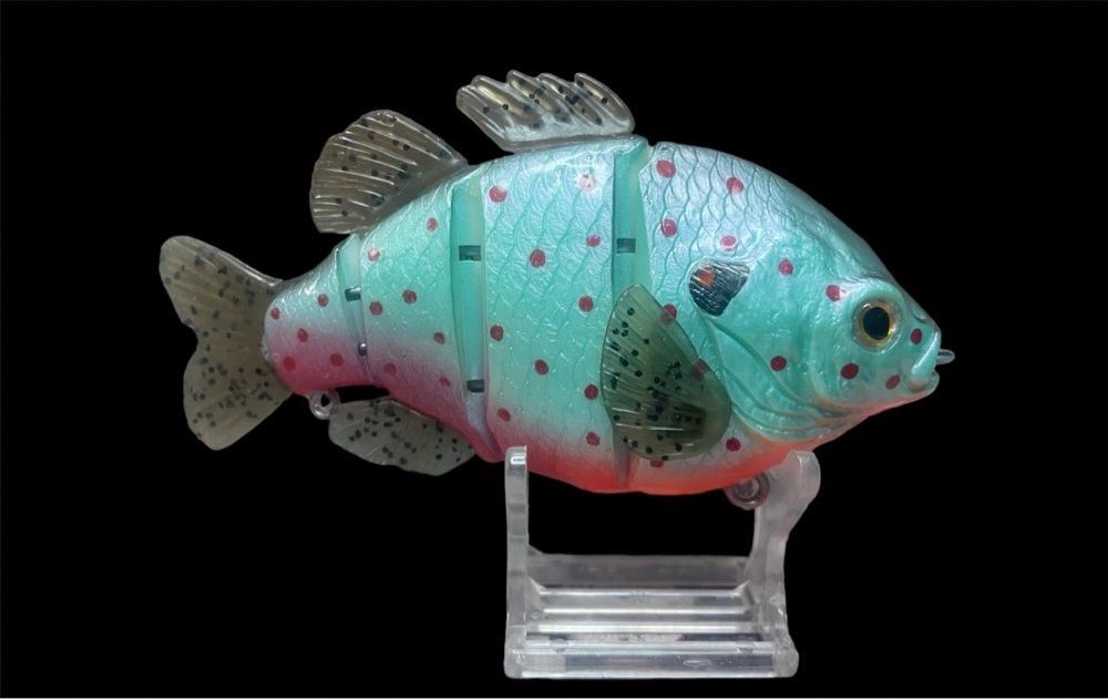 Orange Sunfish Three Segment