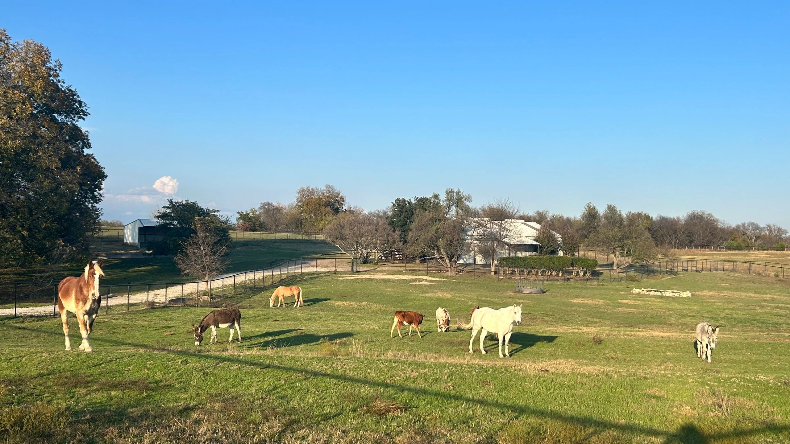 apolloslanding.farm