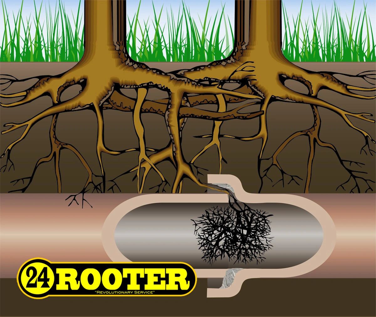 How to prevent roots from growing in your sewer drain. | 24 Rooter of ...