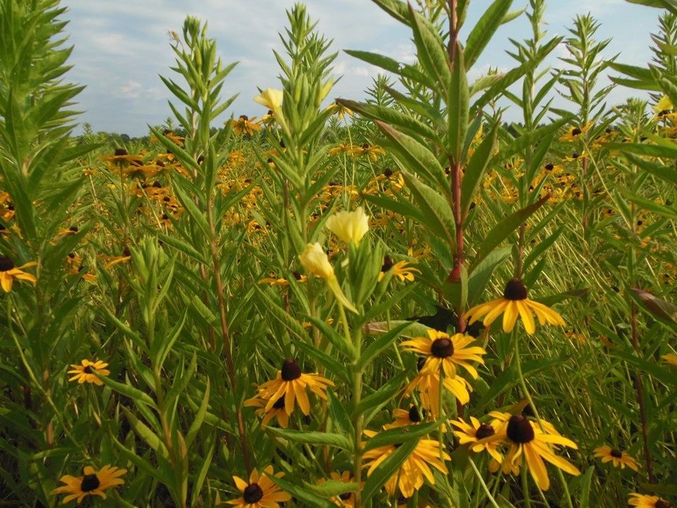 Conservation Club - Outdoors Forever Conservation Club