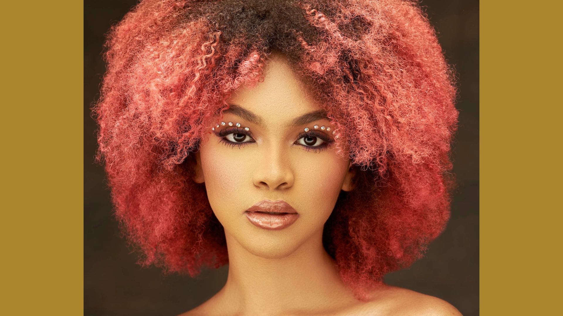 Janea Hair Collection