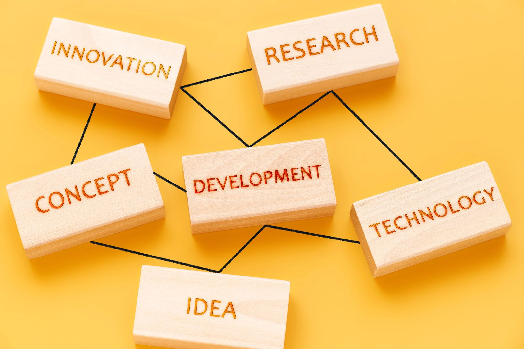 Essential Partners in Care