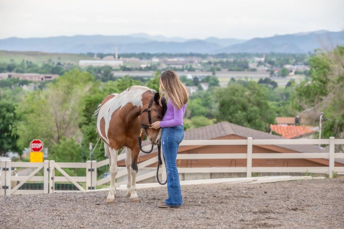 Mindful Harmony Equine