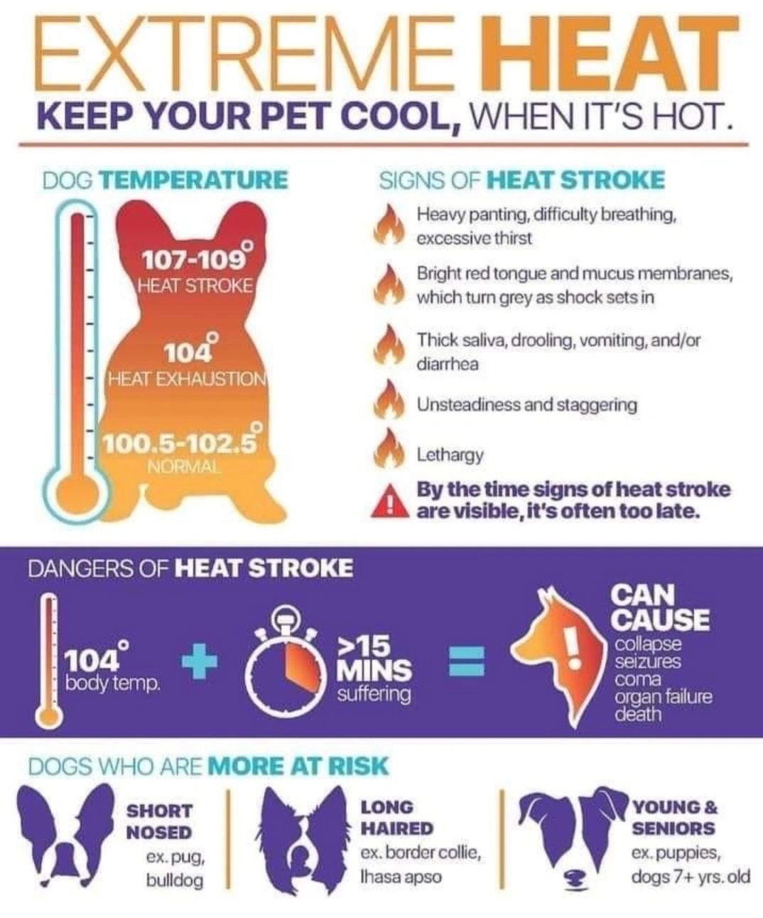 Hot Weather Safety Tips