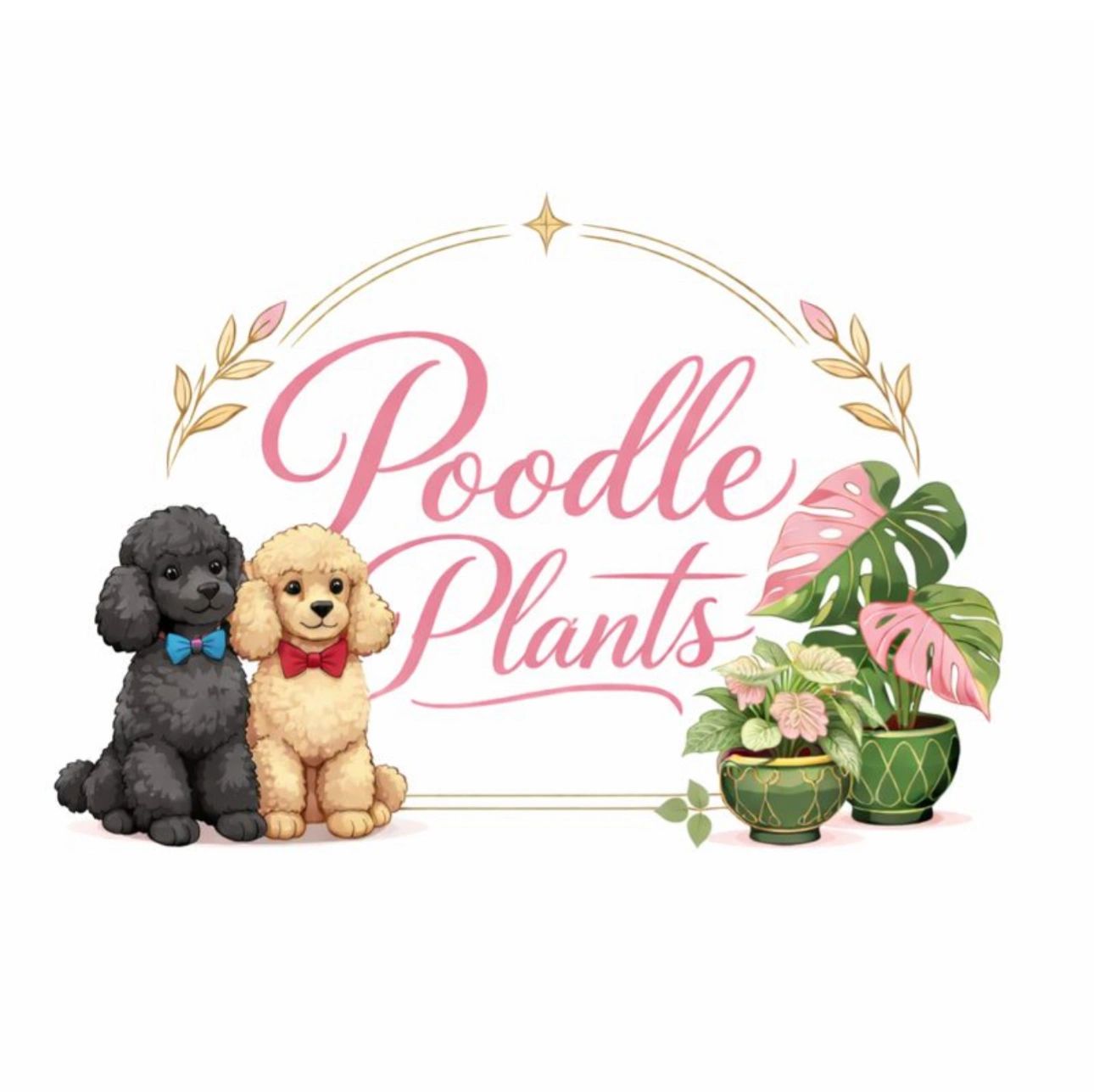 Shop Gorgeous Rare Plants at POODLE PLANTS
