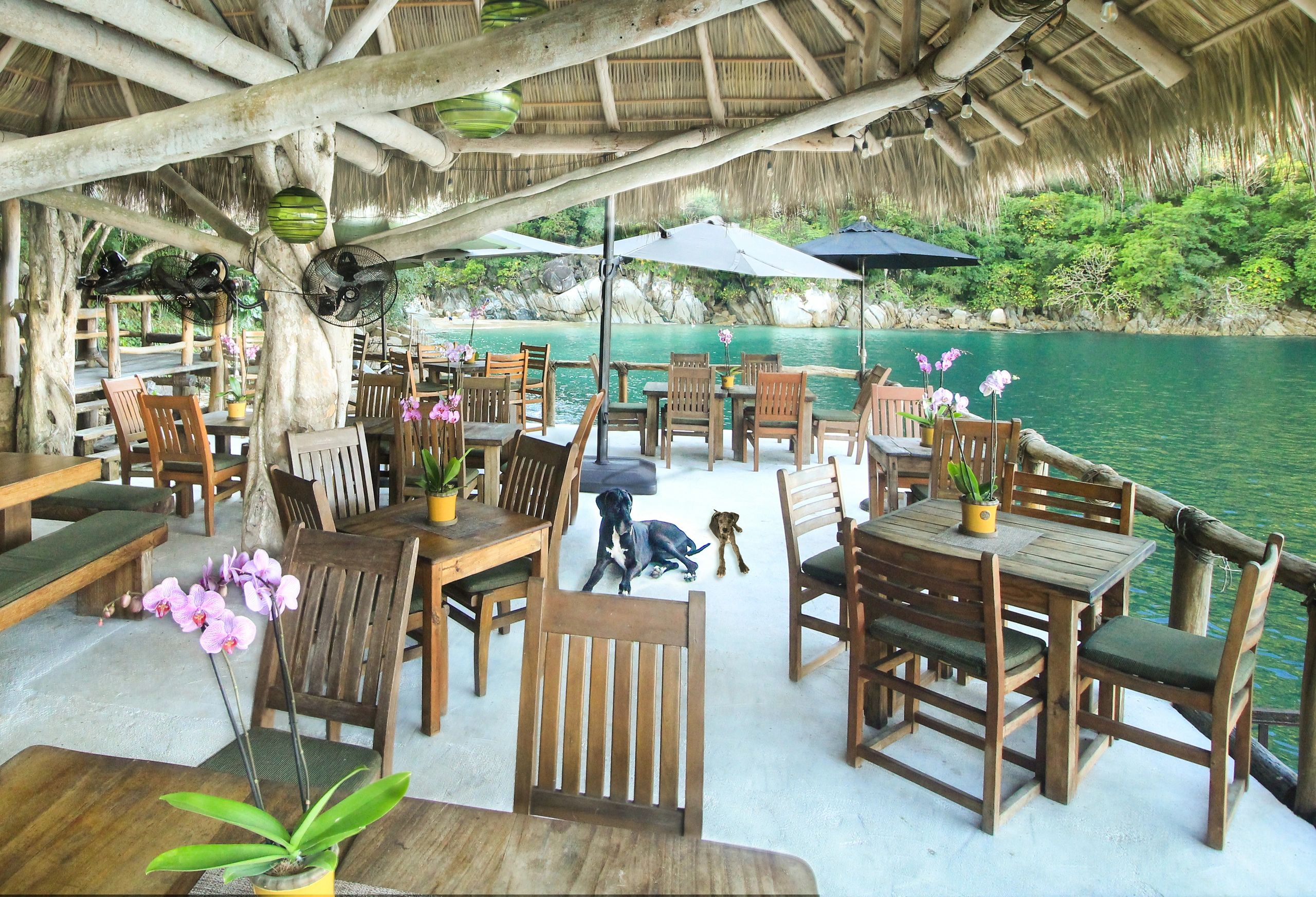 Ocean Grill - Restaurant Grill - Puerto Vallarta, Jalisco