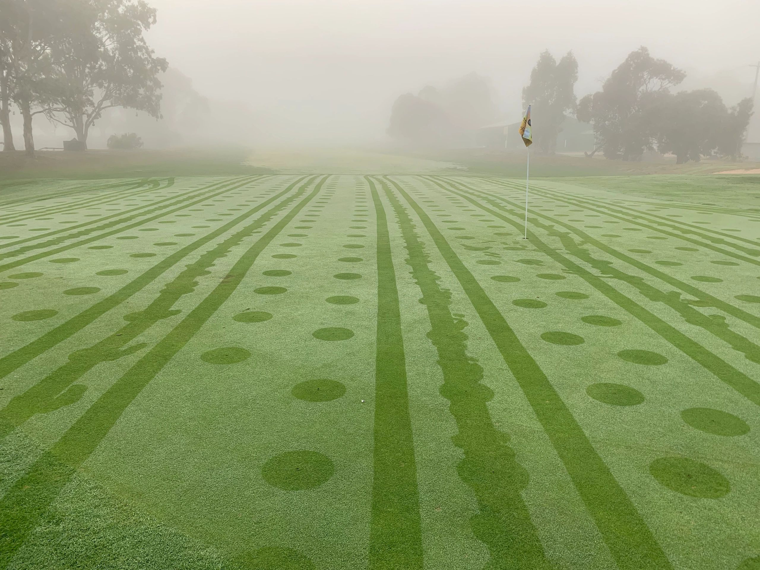 Central Victoria Air Turf