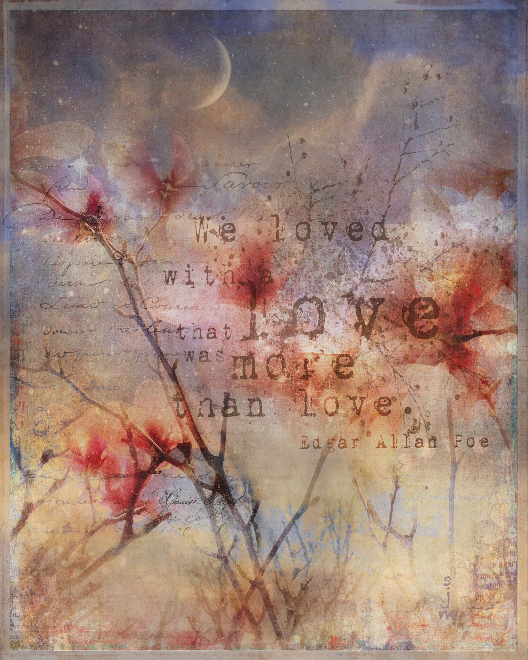 Sue Merritt Photography