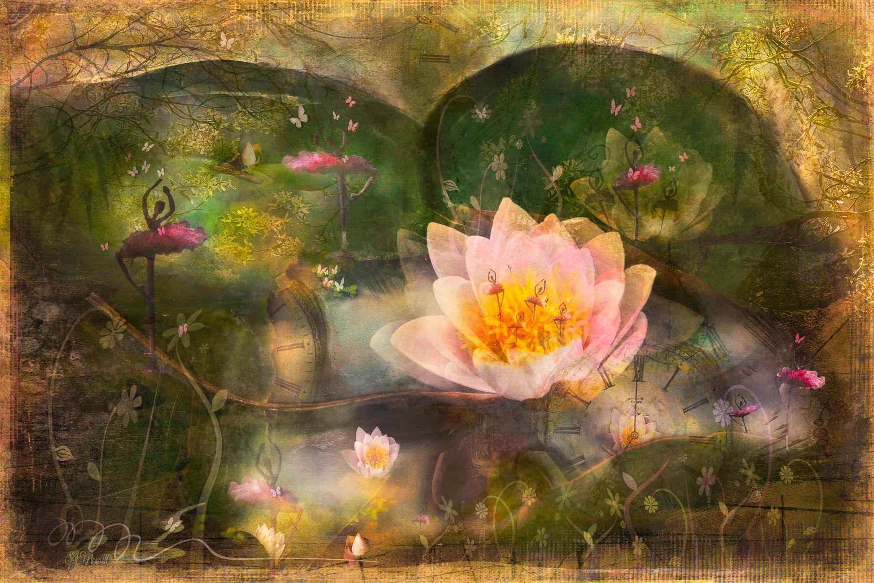 Sue Merritt Photography