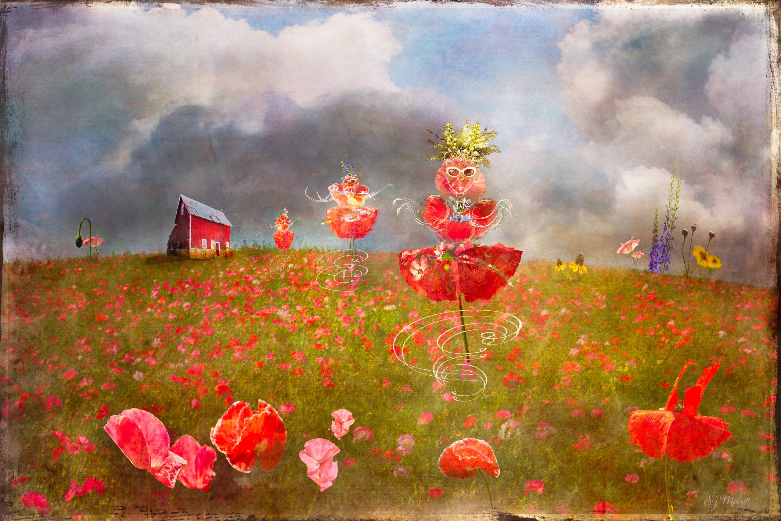 Sue Merritt Photography