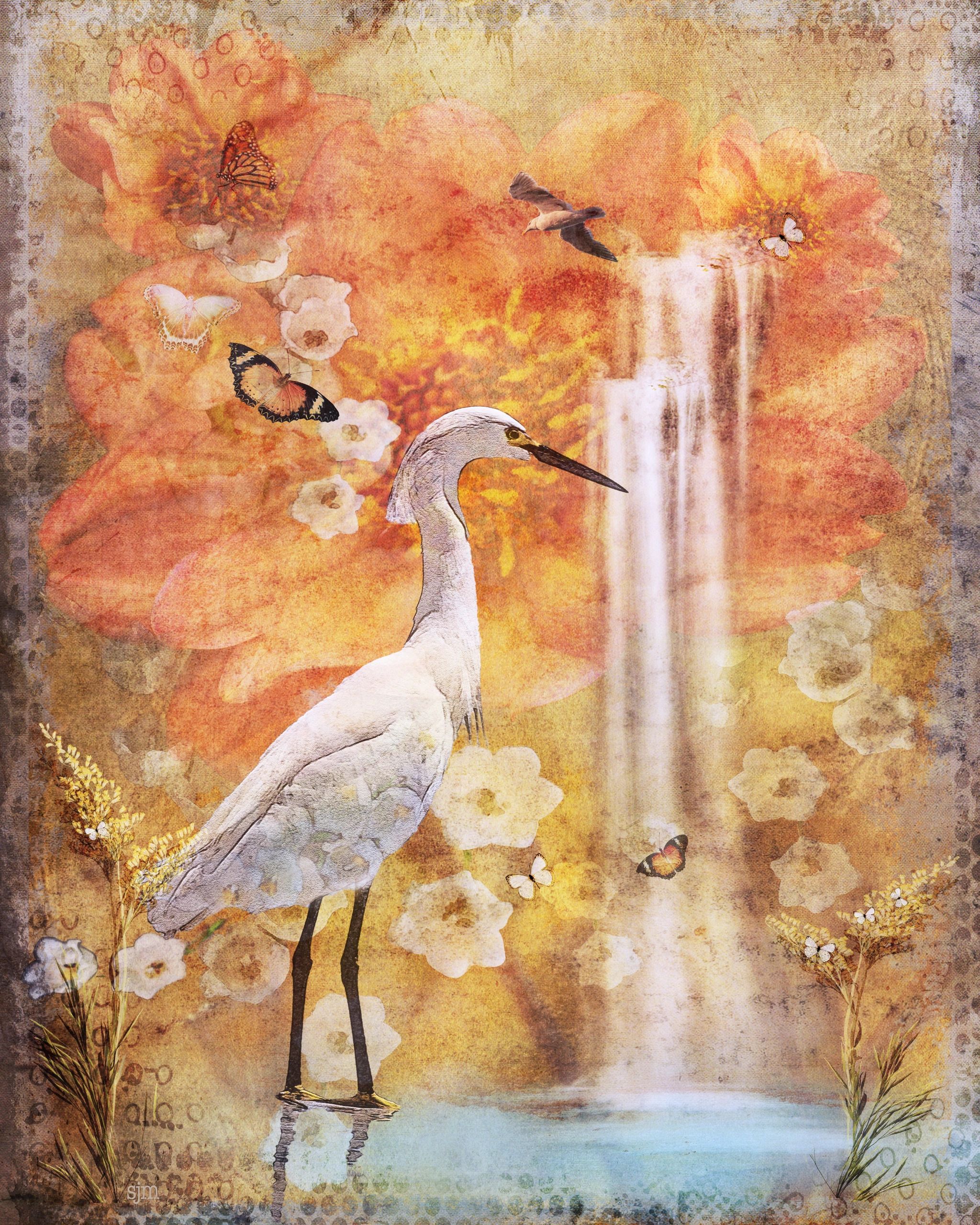 Sue Merritt Photography