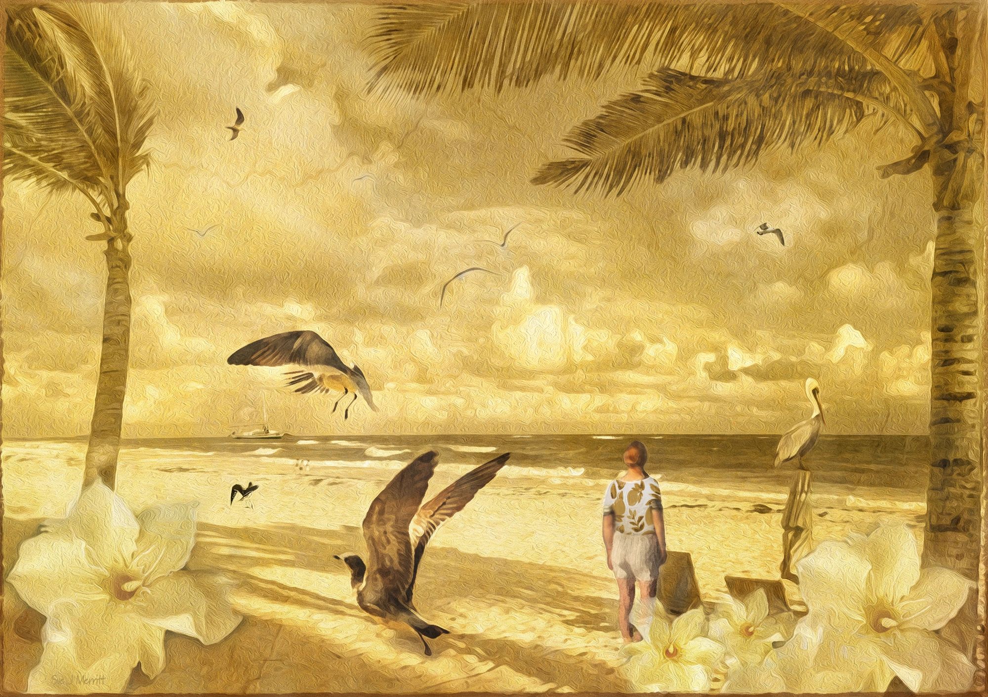 Sue Merritt Photography