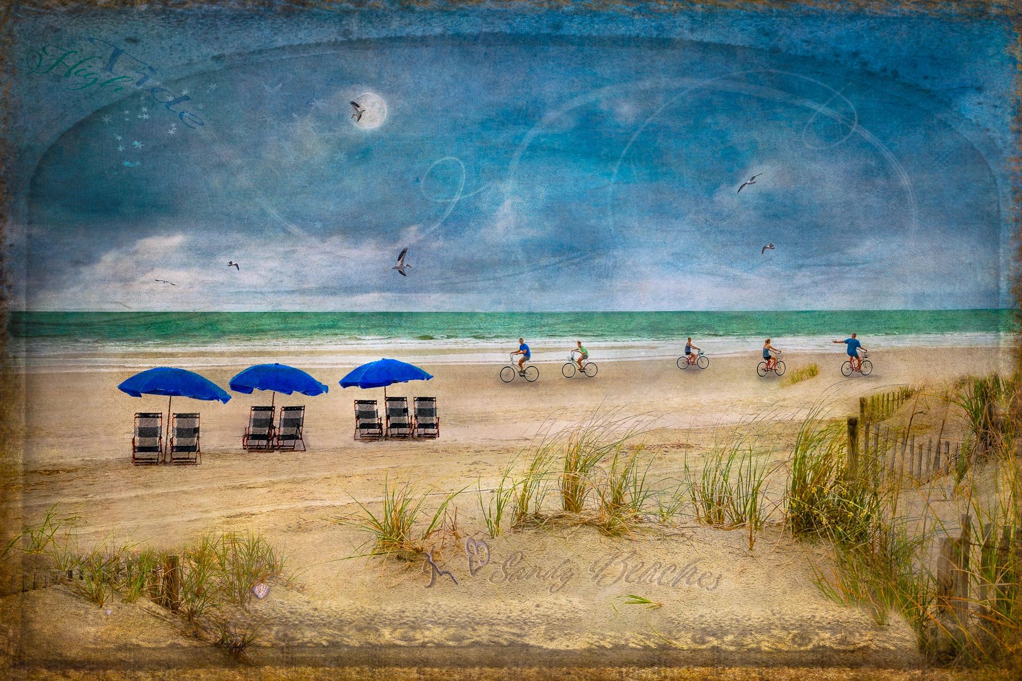 Sue Merritt Photography