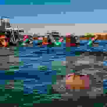 A Crystal River Kayak Company - Tours - Crystal River, Florida