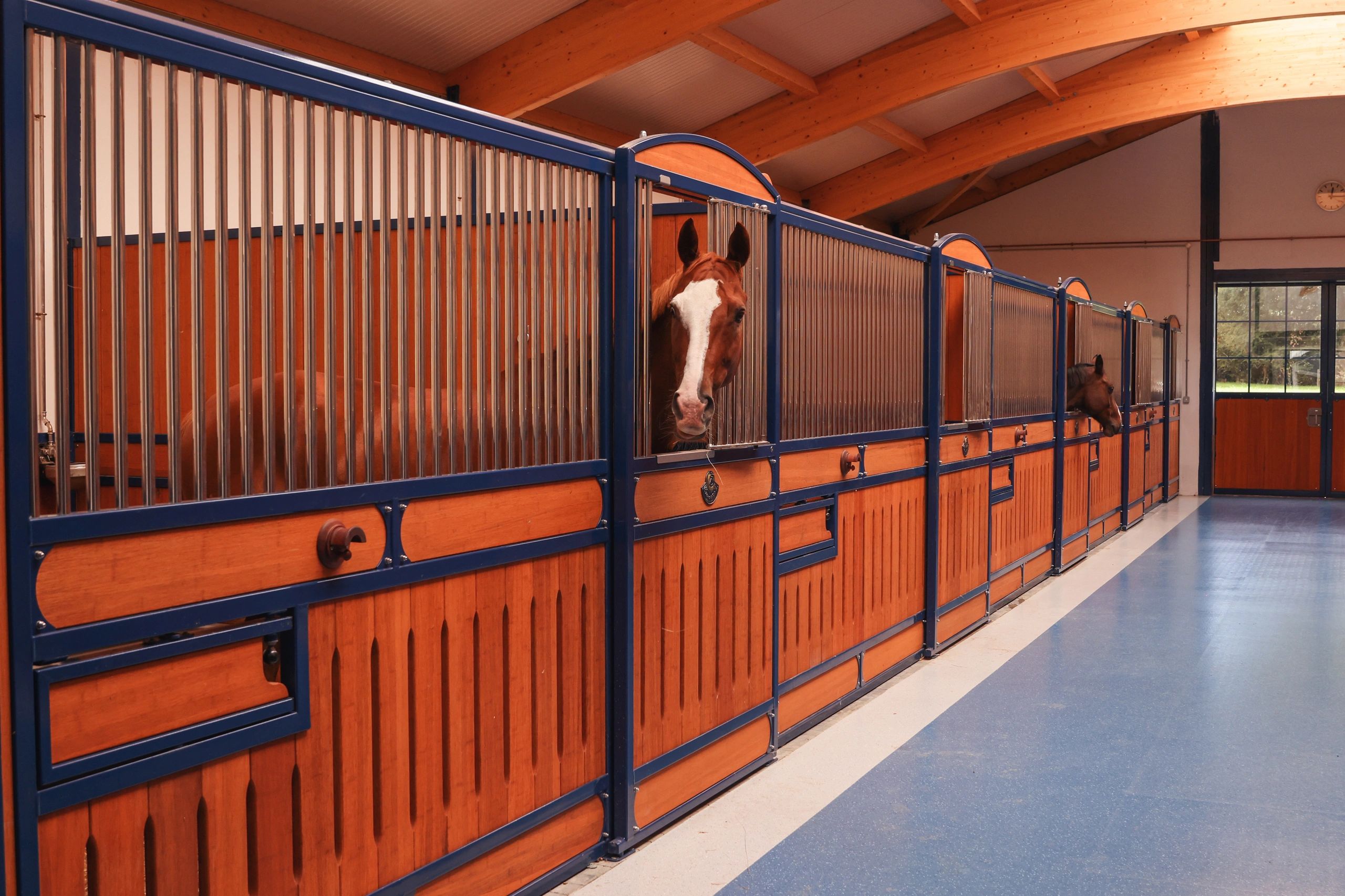 Best horse livery yard