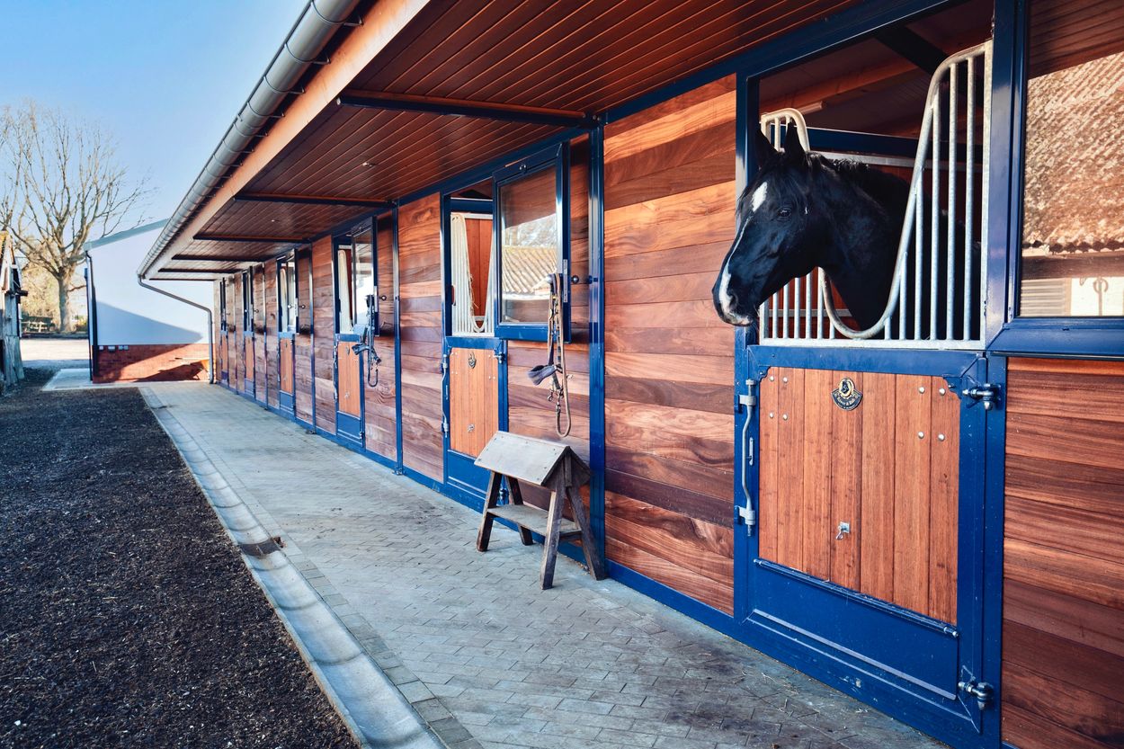 Facilities | Equitopia