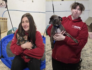 Meet the Staff | Canine Advisory Ltd