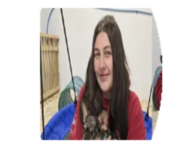 Meet the Staff | Canine Advisory Ltd
