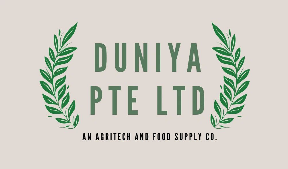 our-duniya.com