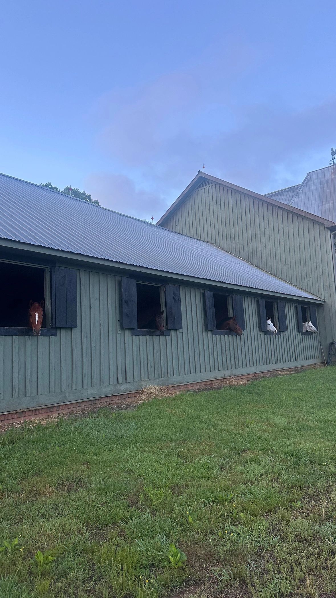 Birchview Stables