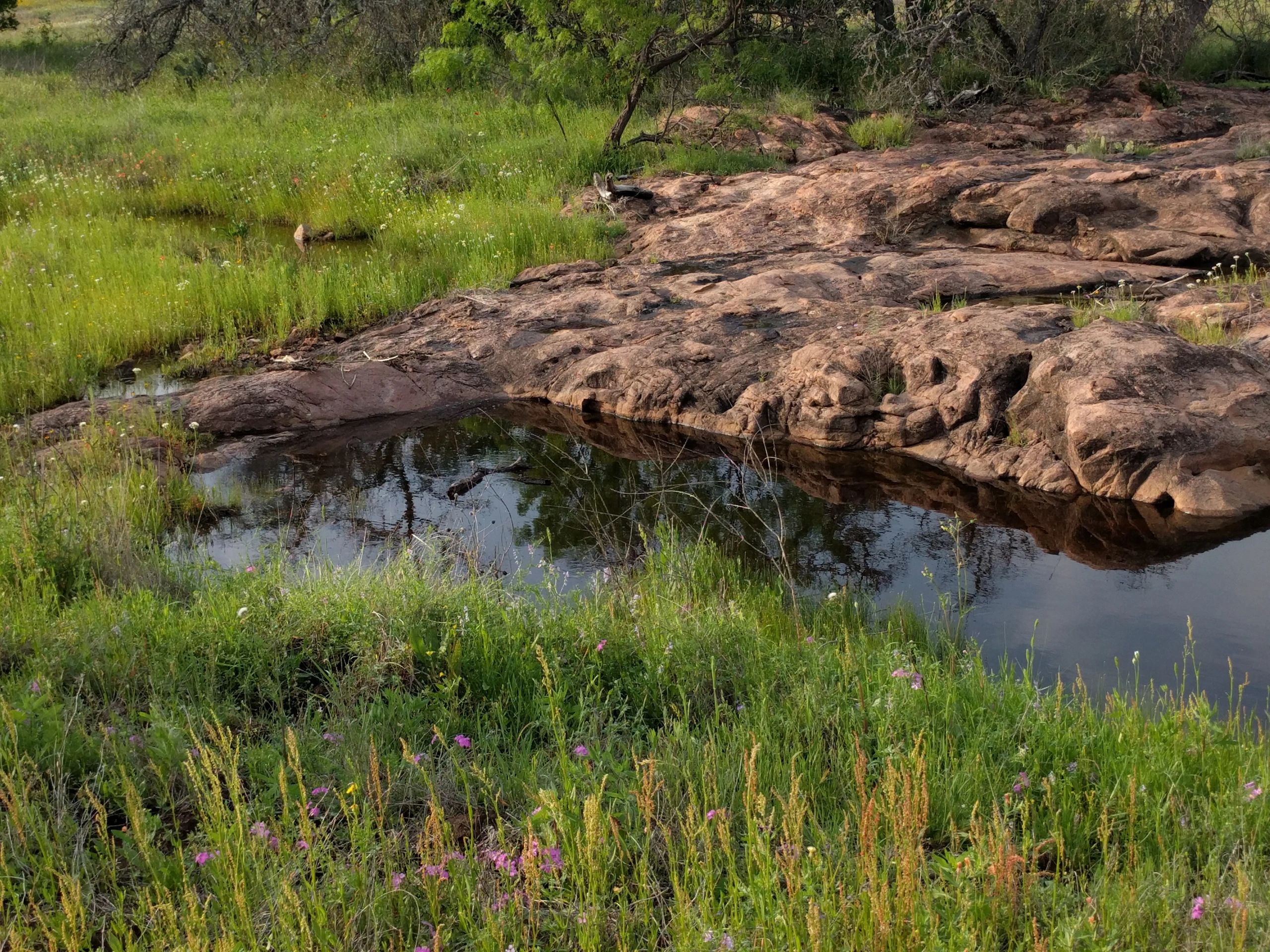 The Cougar Creek Ranch