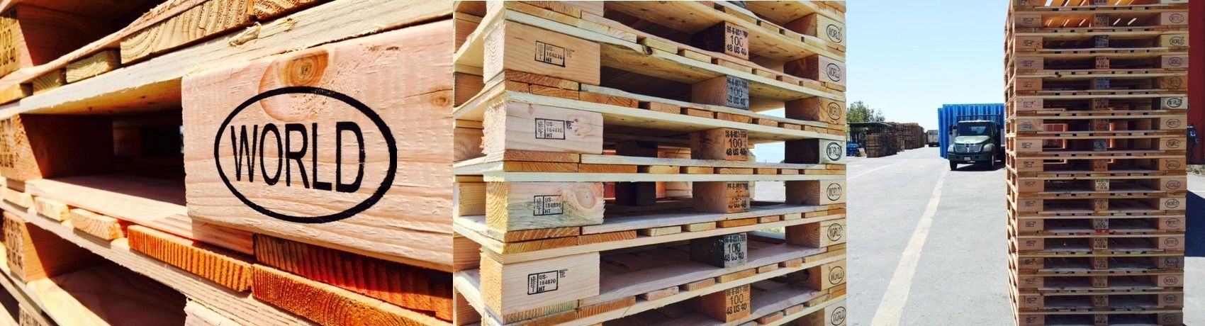 Join WORLD pallet