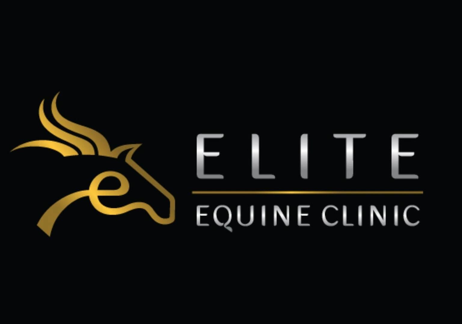 Elite Equine Clinic