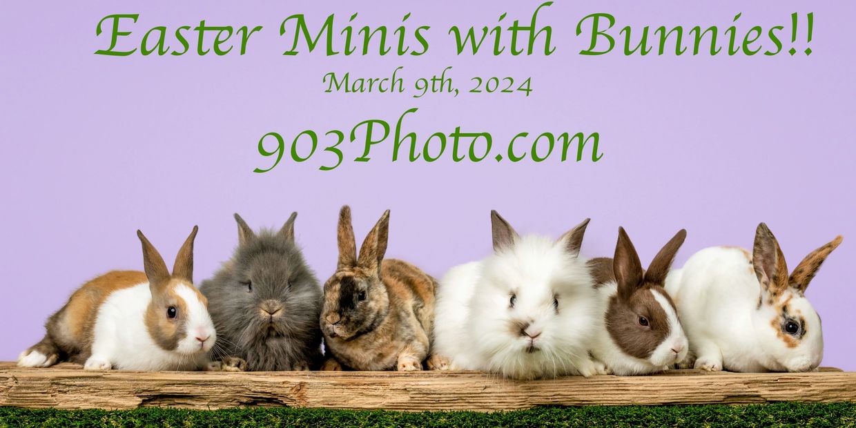 Come have some fun at Wet Pets N Critters!