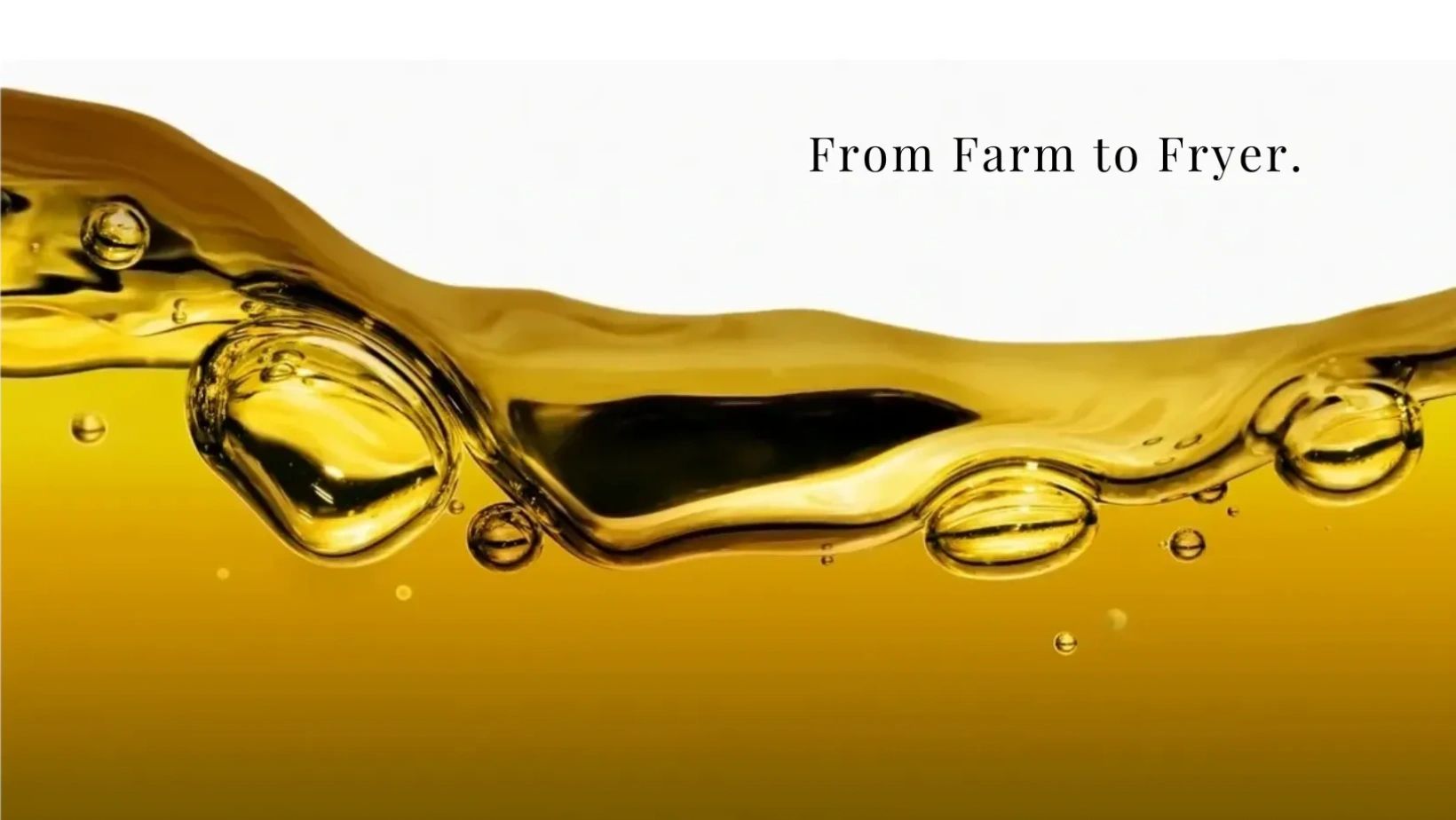 Buy Bulk Canola Oil | Prairie Pure Cooking Solutions