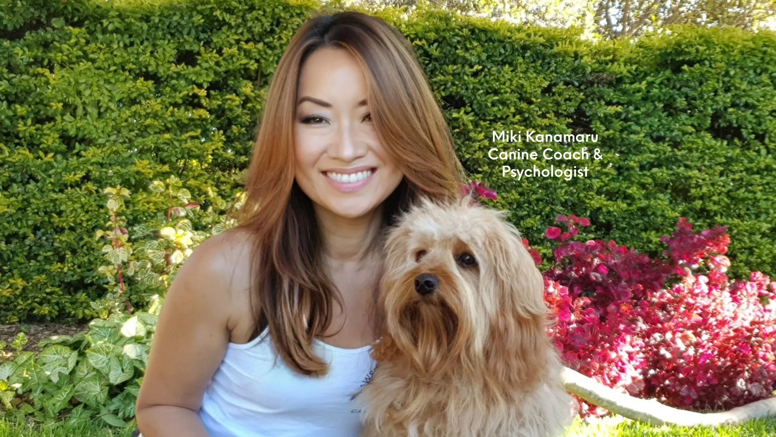 Resources | Pawsitive Mindset