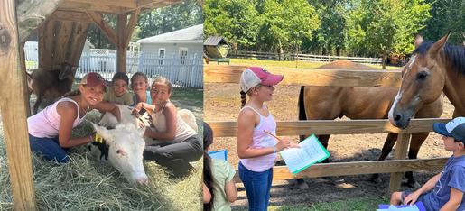 Angel and Jules for Others - Non-Profit, 501c3