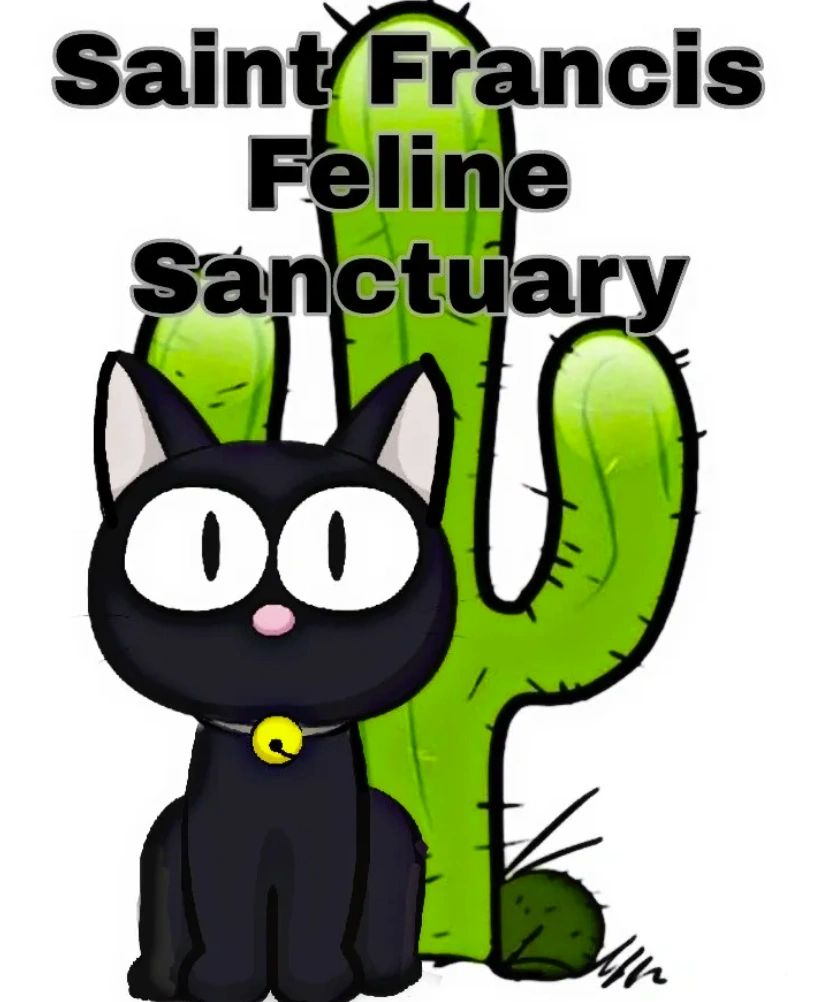 Saint Francis Feline Sanctuary