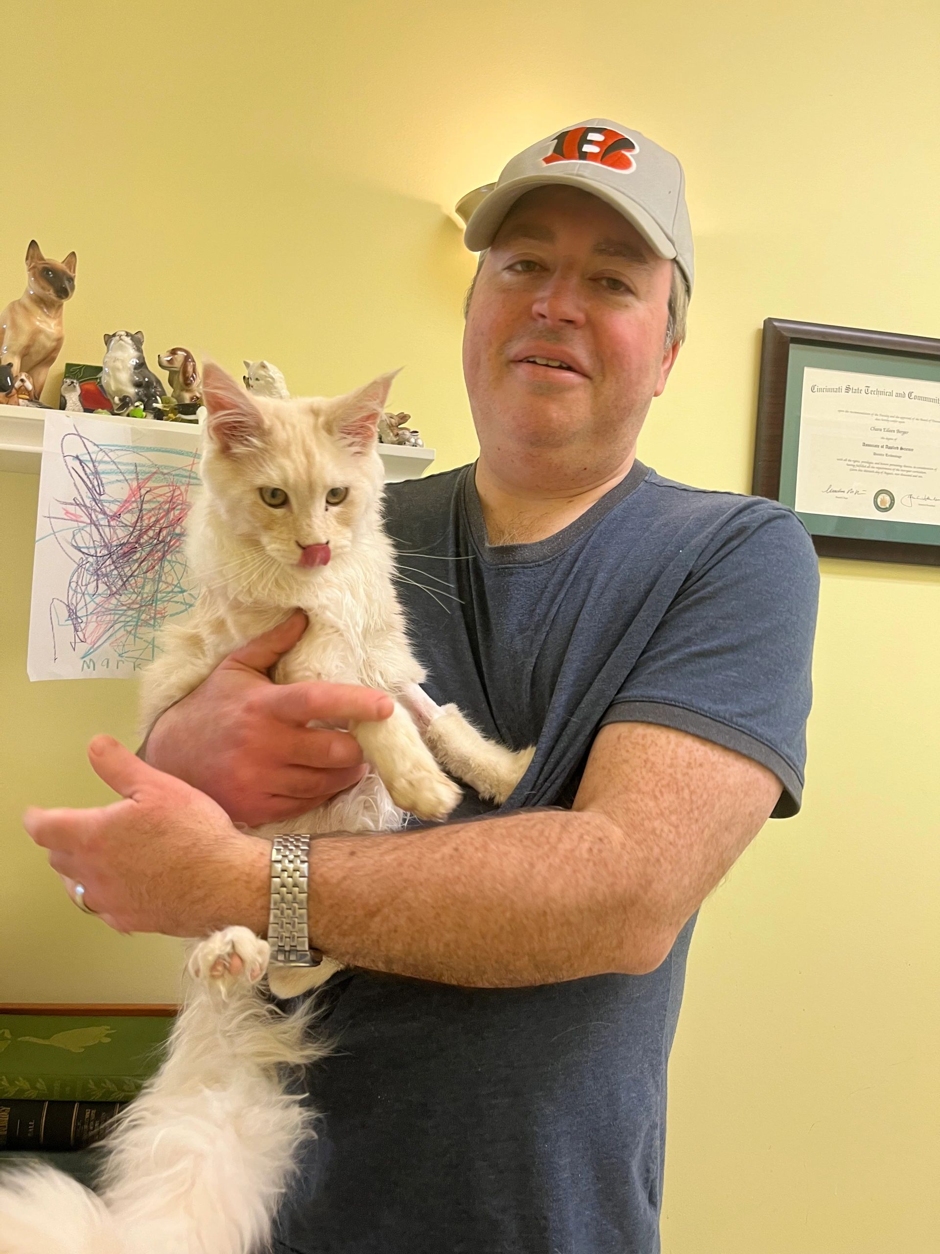 Misty Vistas - Veterinarian in Mason, Animal Hospital, Exotic Vet