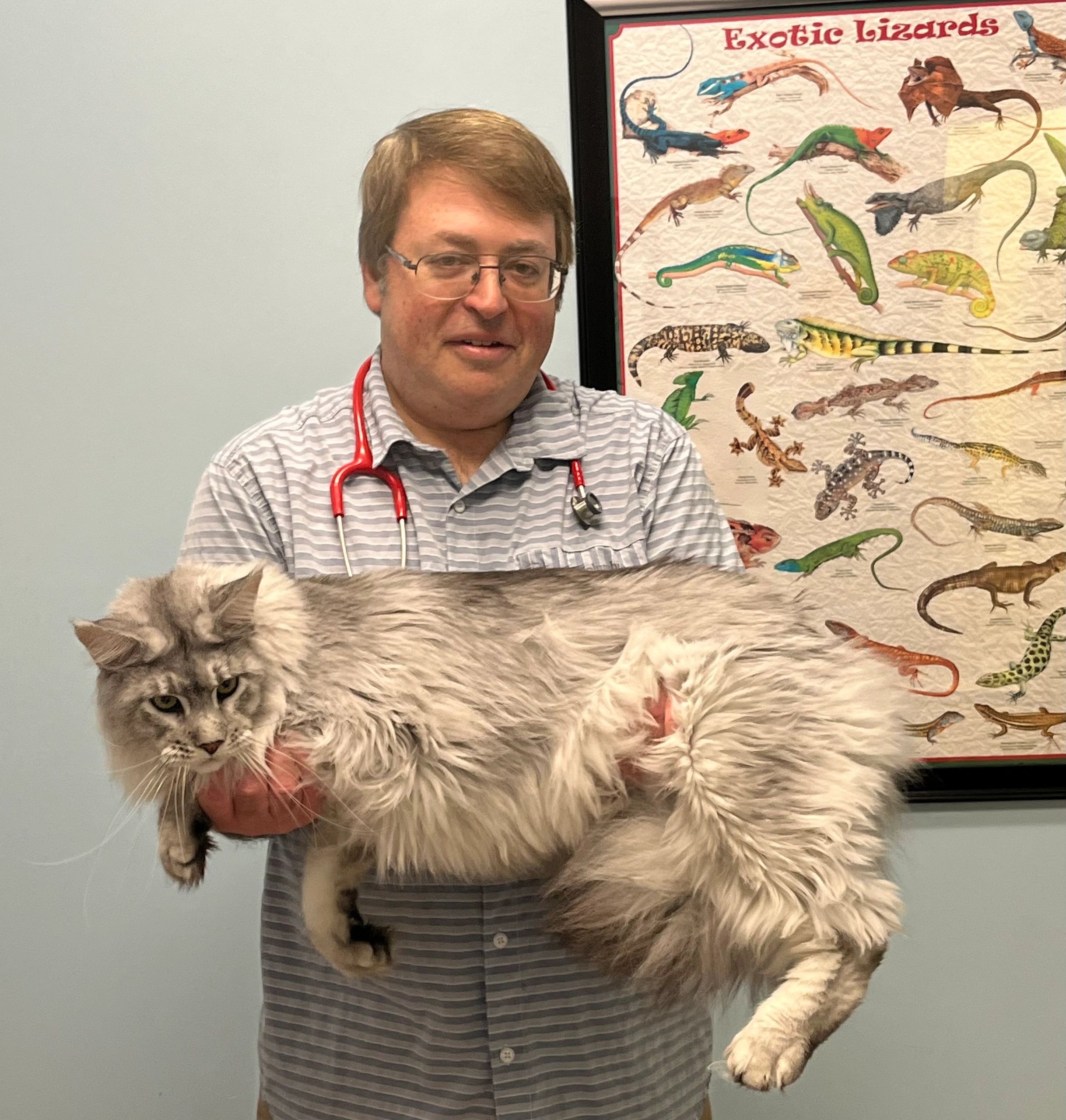 Misty Vistas - Veterinarian in Mason, Animal Hospital, Exotic Vet