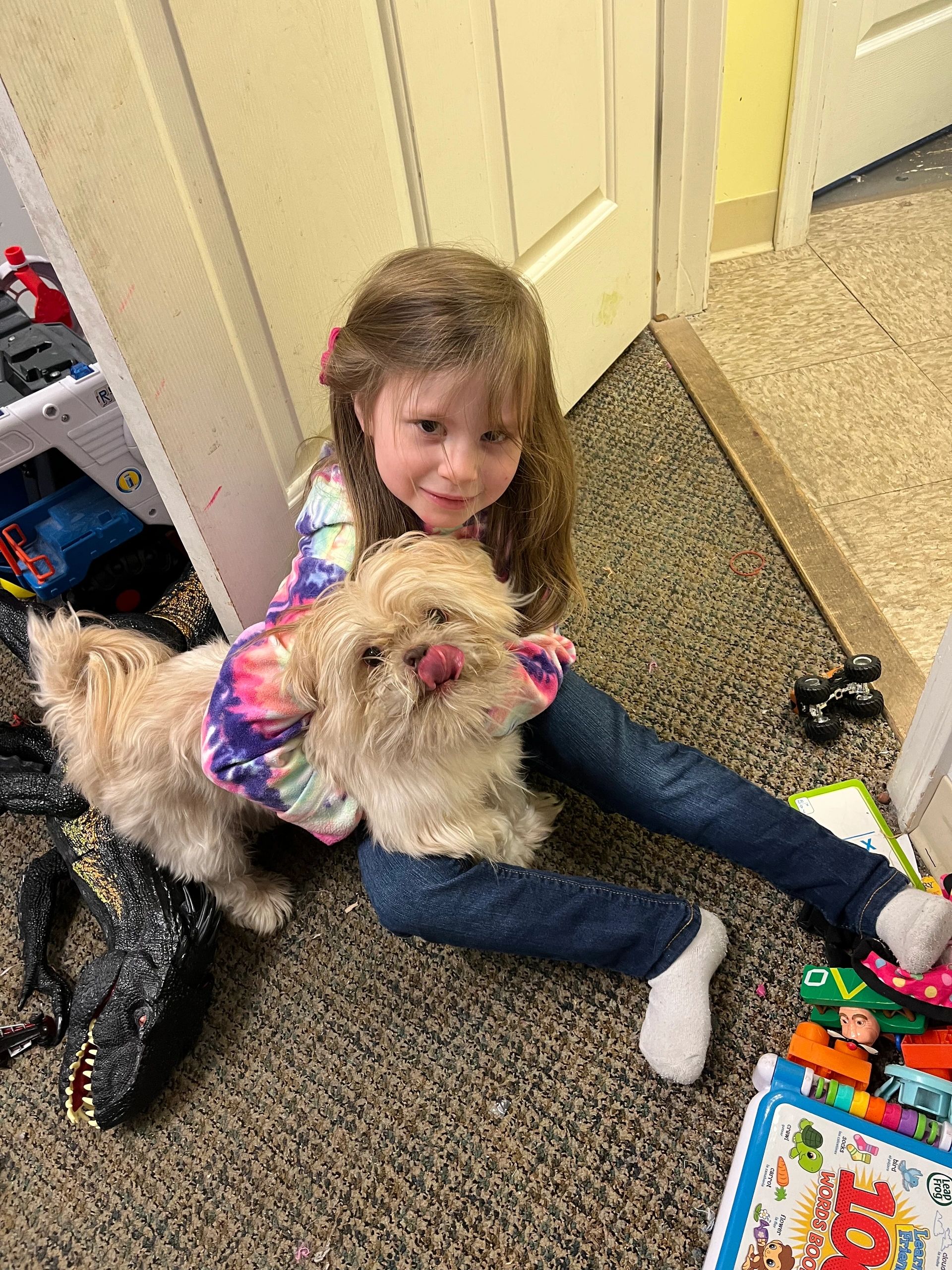 Misty Vistas - Veterinarian in Mason, Animal Hospital, Exotic Vet