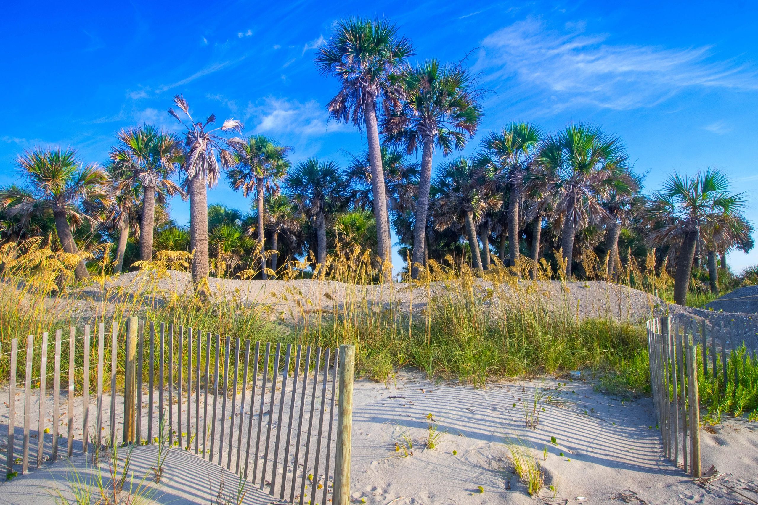Edisto Island Guide - Island, Guide