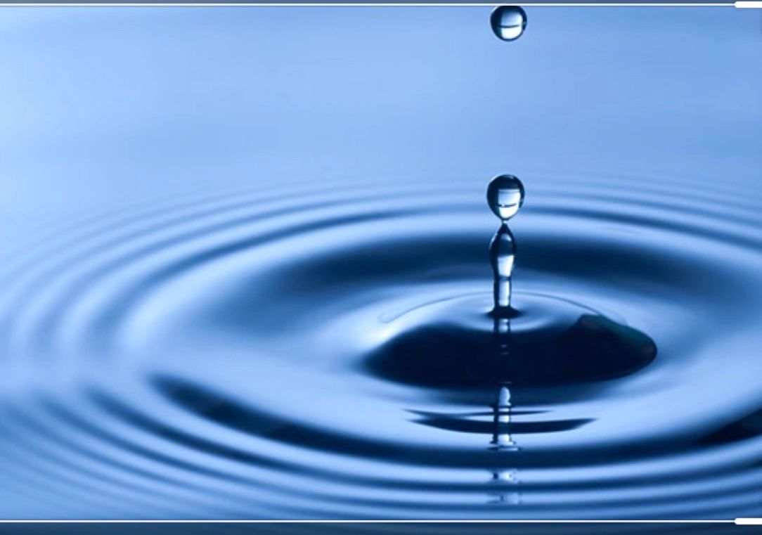 Robin Goldstein, MS, LPC