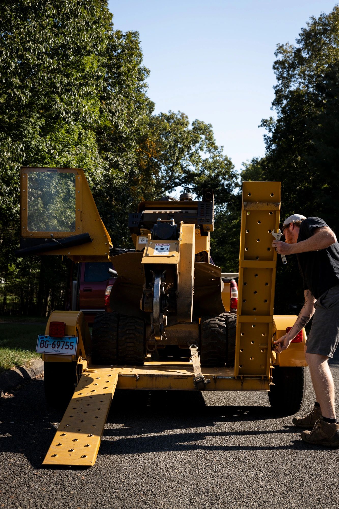 Stump Grinding VS Stump Removal