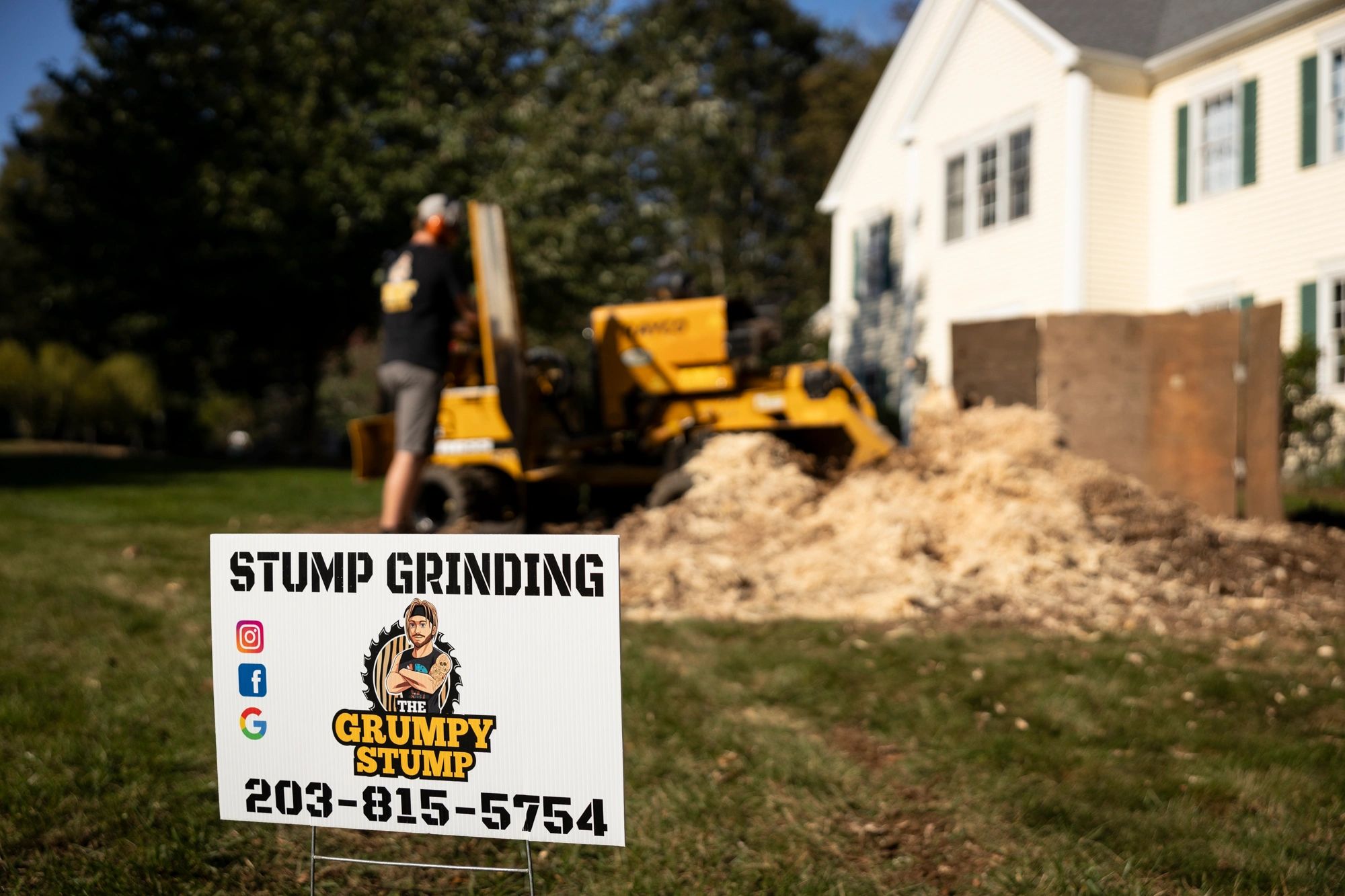 Will Stump Grinding Kill The Roots?