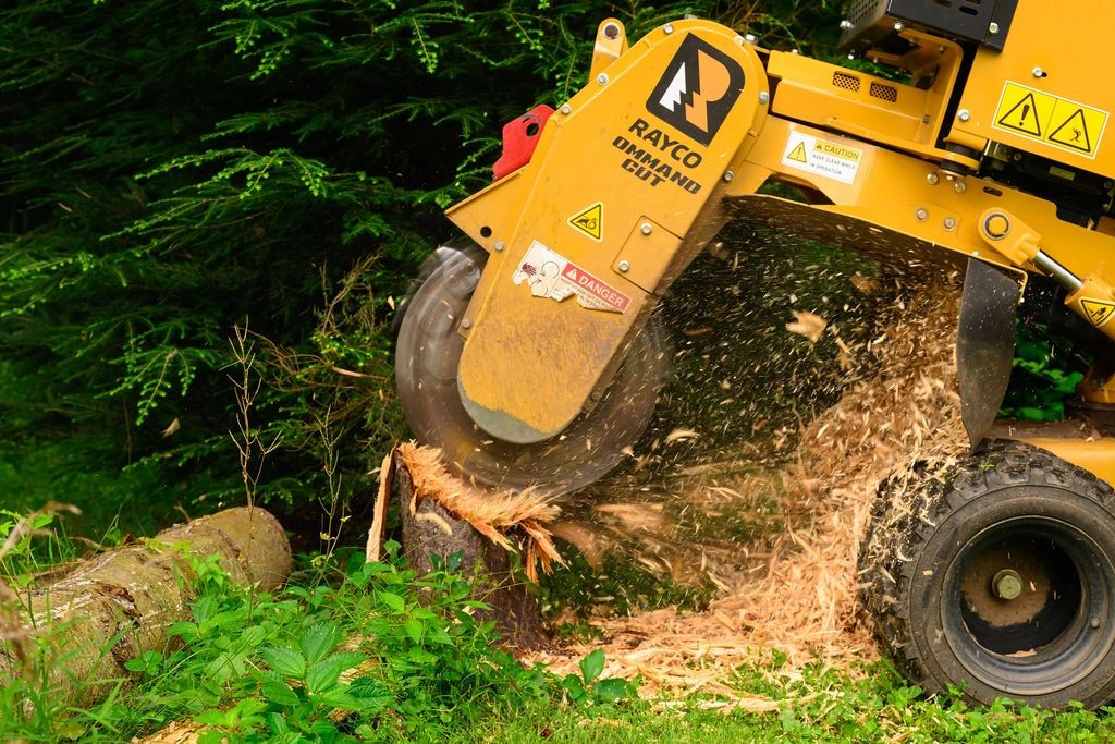 The Grumpy Stump | Professional Tree Stump Grinding Services