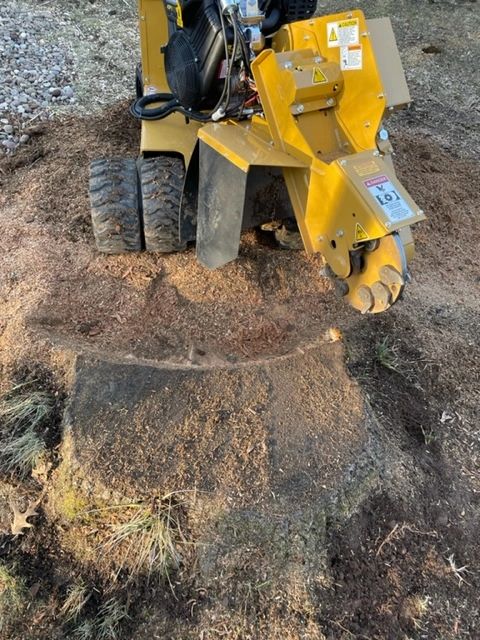 How Does Stump Grinding Work?
