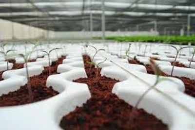 Grow Bags | Urban Planter