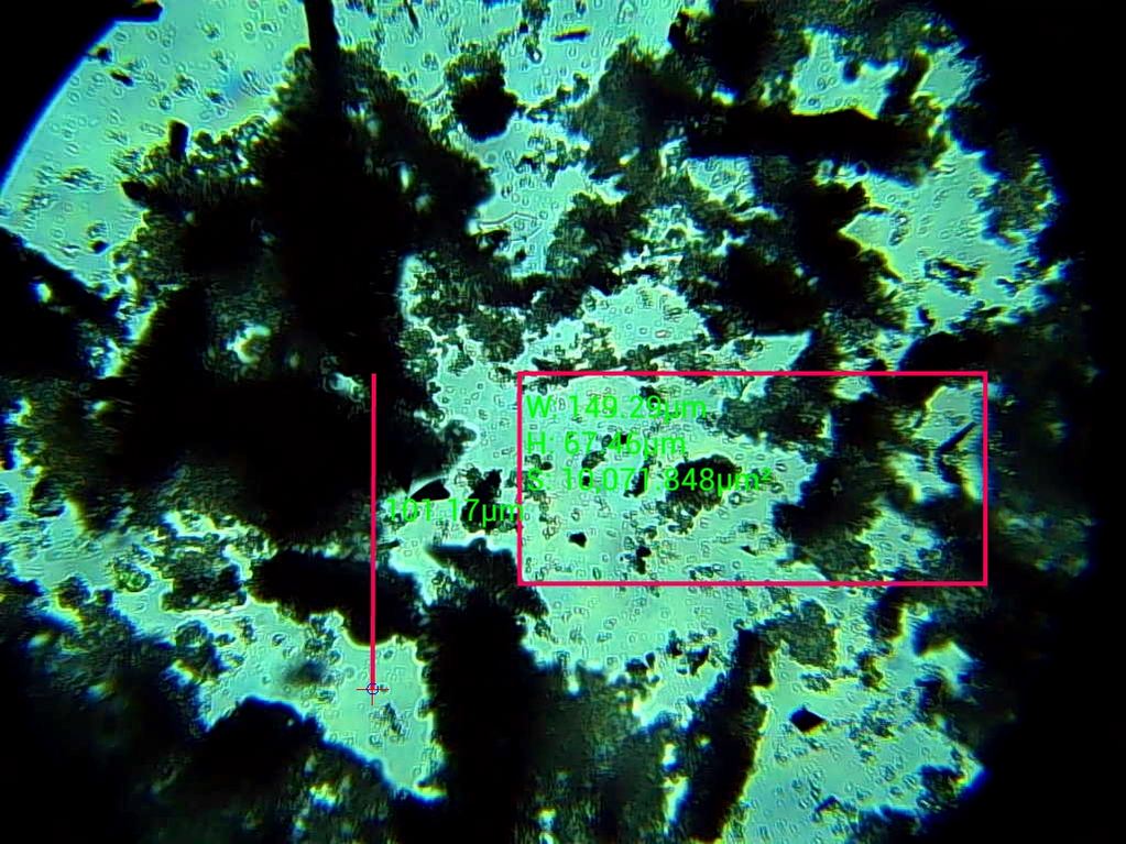 SOIL THROUGH A MICROSCOPE